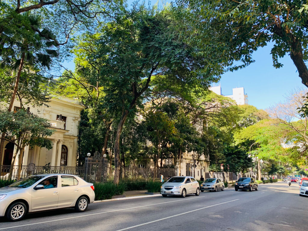 Os encantos de Higienópolis: o que ver e fazer no tradicional bairro ...