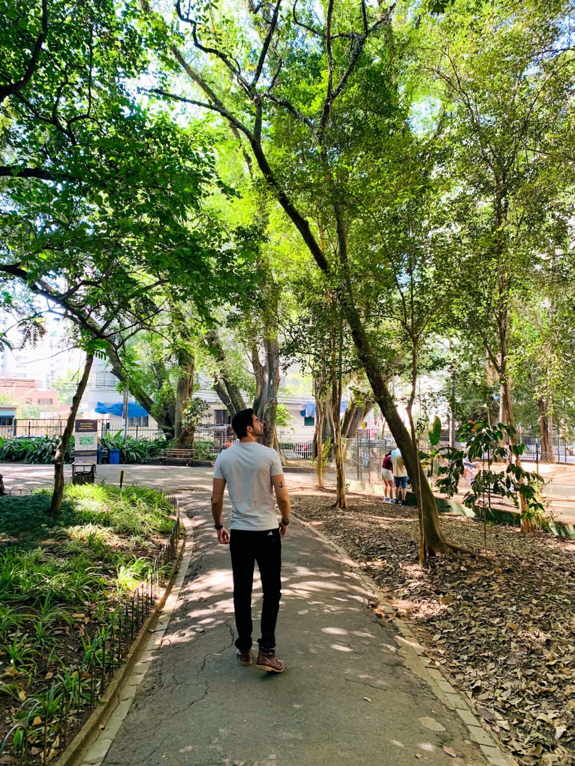 Parque Buenos Aires, principal área verde de Higienópolis - Viajante ...