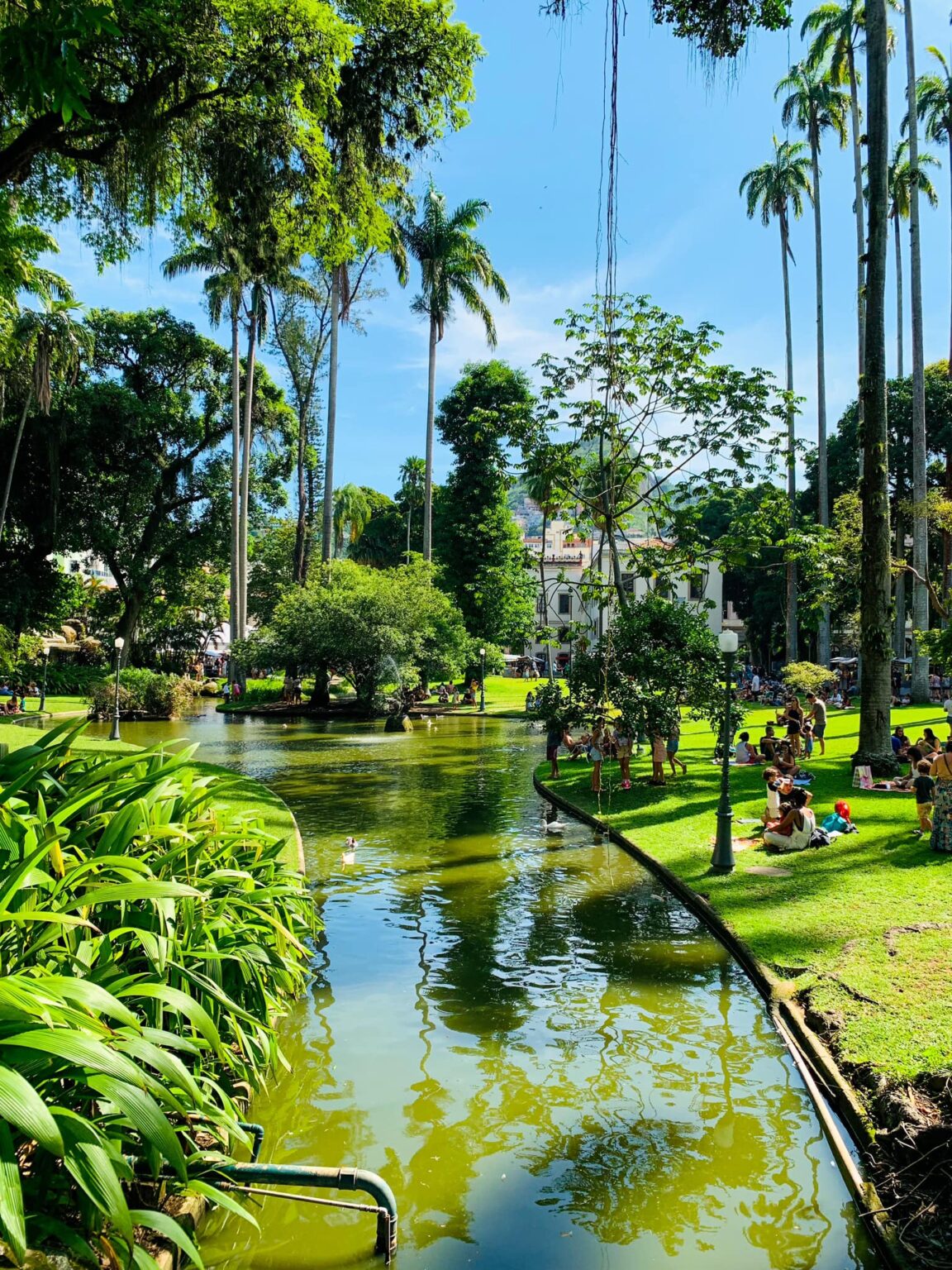 Palácio do Catete e o Museu da República no Rio de Janeiro - Viajante ...